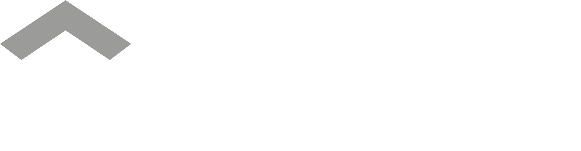 Vantage Partners – Grupo V&V